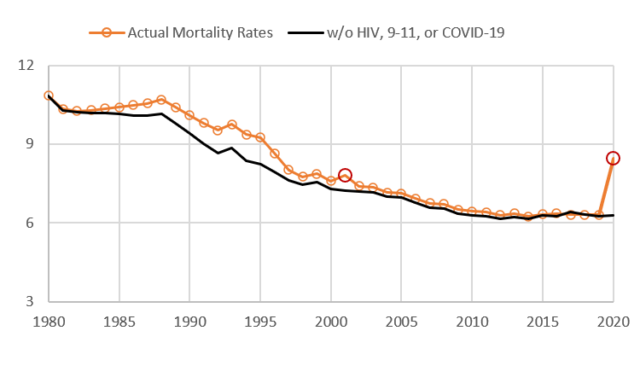 Disease and Unease in New York City (Part I): Mortality Rates since ...